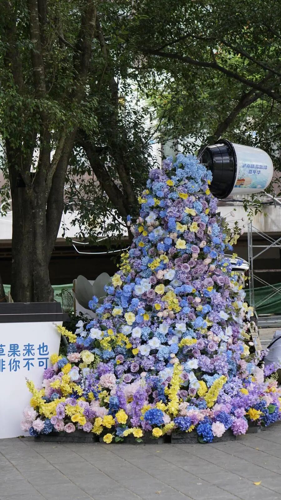 她用鲜花，装点“第二故乡”泸水_要闻_怒江频道_云南网